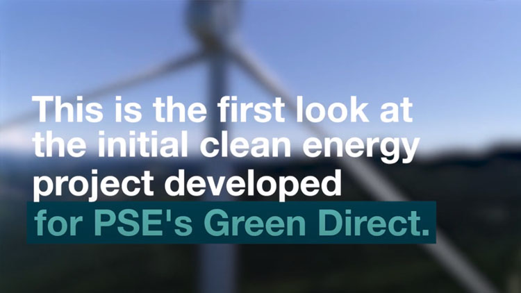 PSE | Green Direct Energy Partnership